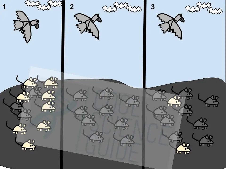 Unit 7.2 (Natural Selection) - Cool Science Guide